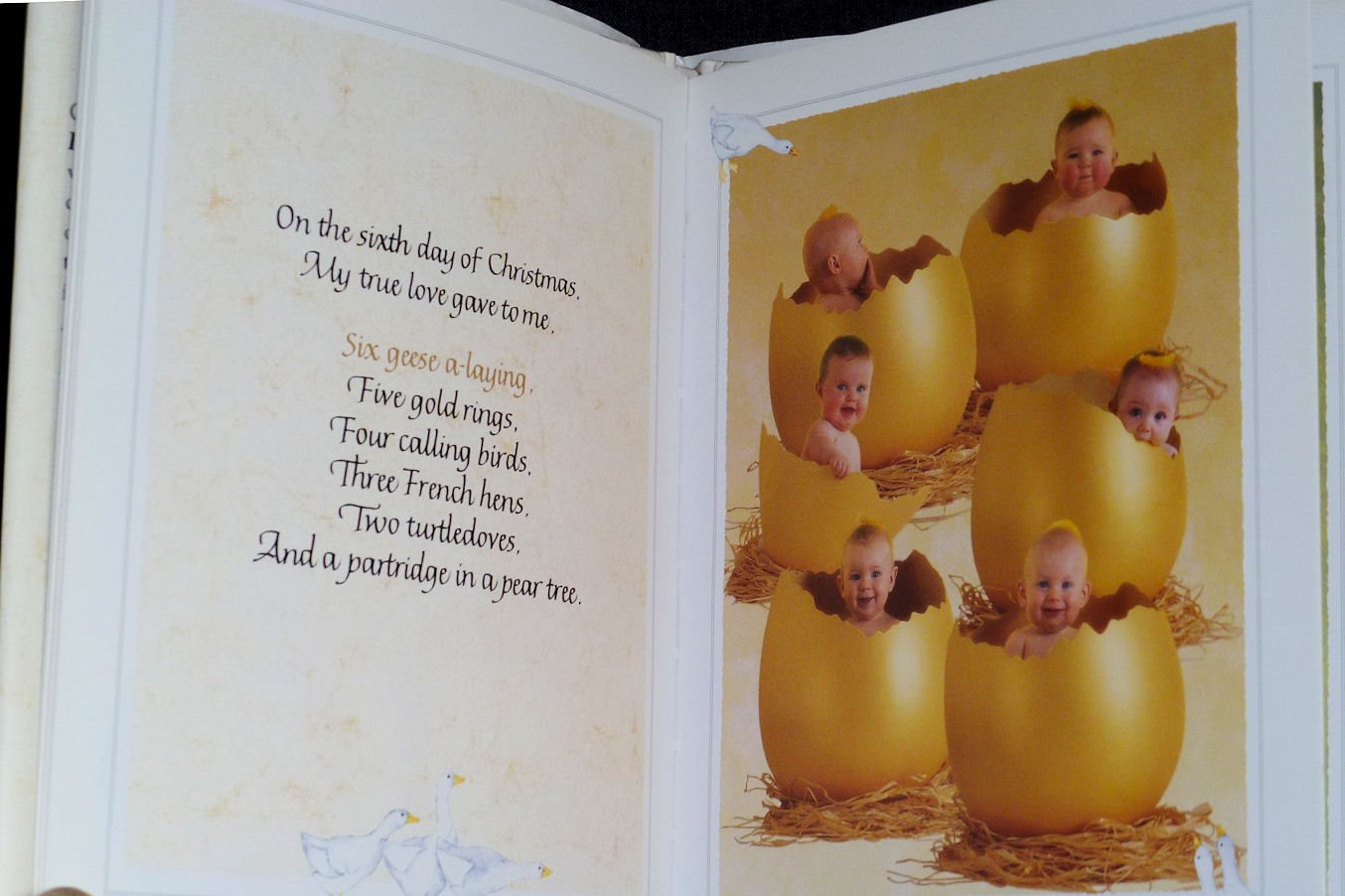 Anne Geddes Twelve Days of Christmas and ABC Books