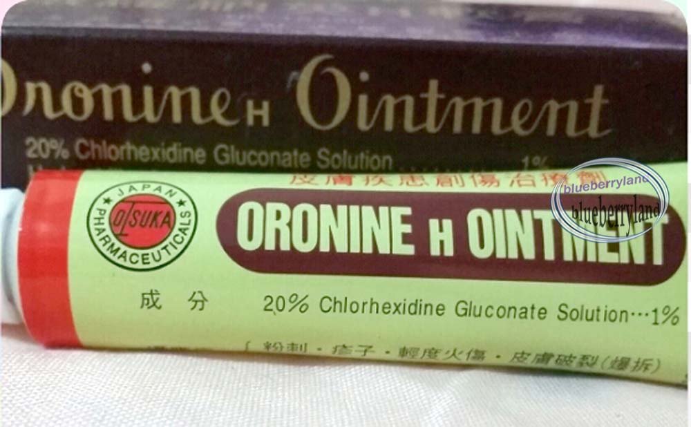 Japanese Otsuka Oronine Ointment 10g Burns Cracked Skin Cuts Pain 娥羅納英H軟膏