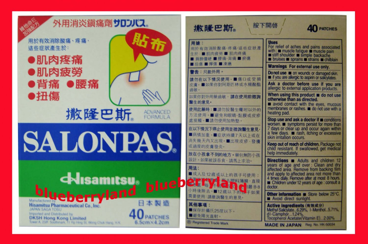 Japan Salonpas Muscle Skin Pain Relief 40 Medicated Patches personal care