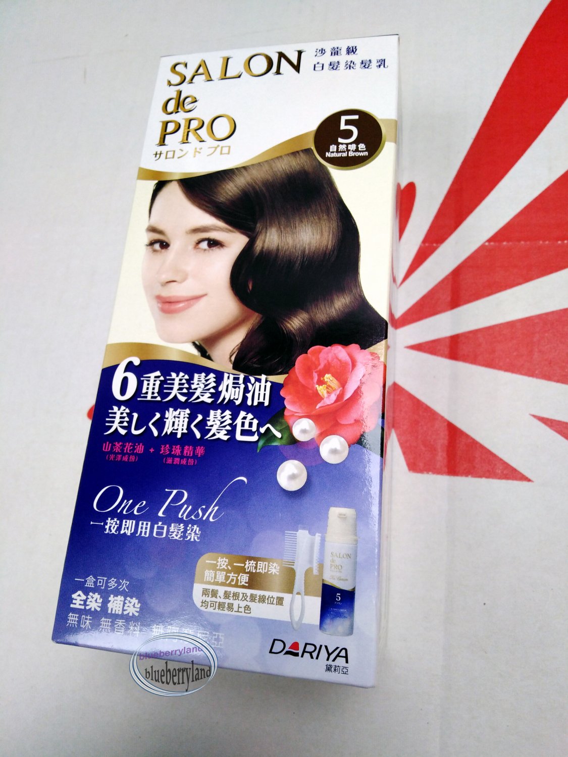 Japan Salon de Pro One Push Hair Color Cream Type Kit # 5 Natural Brown