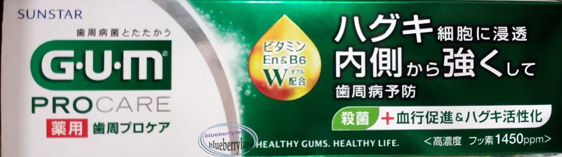 Japan SunStar GUM Special Periodontal Procare Toothpaste 90g 專效牙周護理牙膏