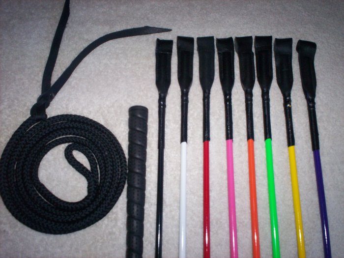 48" TRAINING STICK THAT FITS ANDERSON & PARELLI TRAINING STYLE