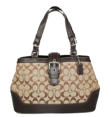 AUTHENTIC COACH HAMPTON SIGNATURE CARRYALL PURSE 12642 NEW WITH TAG