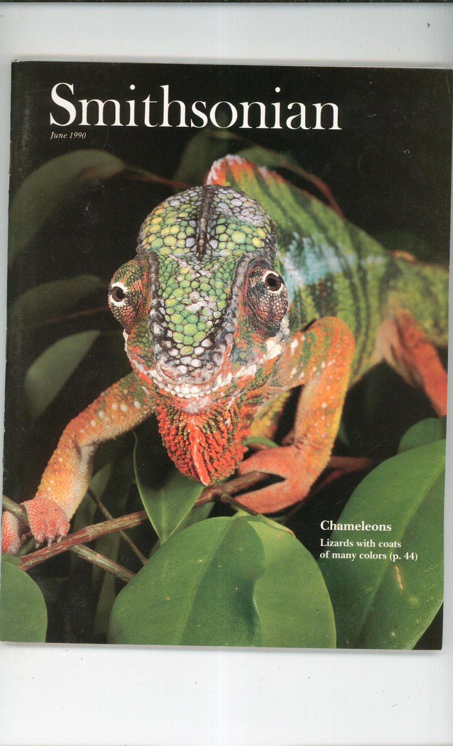 Smithsonian Magazine