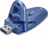 Internet Genie