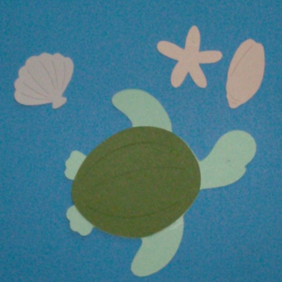 3" Sea Turtle and Shells Die Cuts