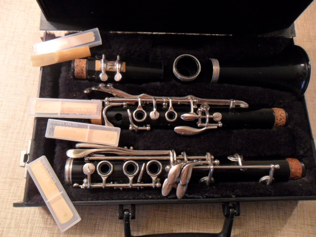 Clarinet Bundy Resonite Selmer With Hard shell Plush lined case and New ...