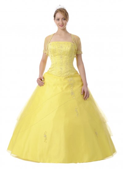 Yellow Quinceanera Dress Bolero Princess Bolero Jacket Satin Mesh ...