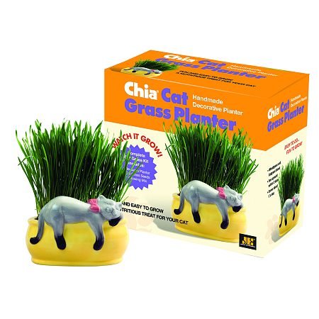 CHIA CAT GRASS PLANTER KIT - "SNOOZING KITTY" - AS SEEN ON TV - A ...