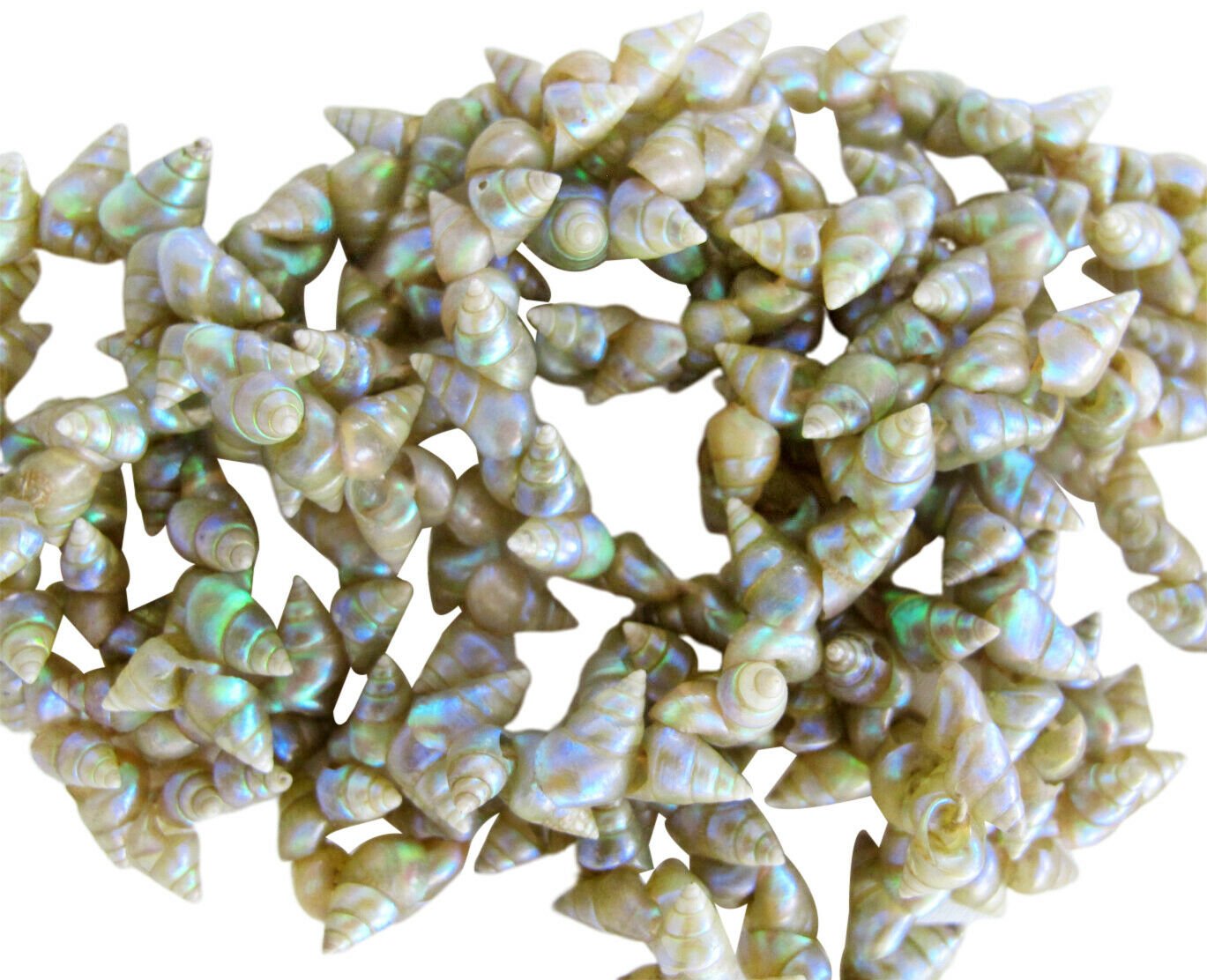 Antique Tasmanian Aboriginal Maireener Iridescent Sea Shell Necklace Strand 47"