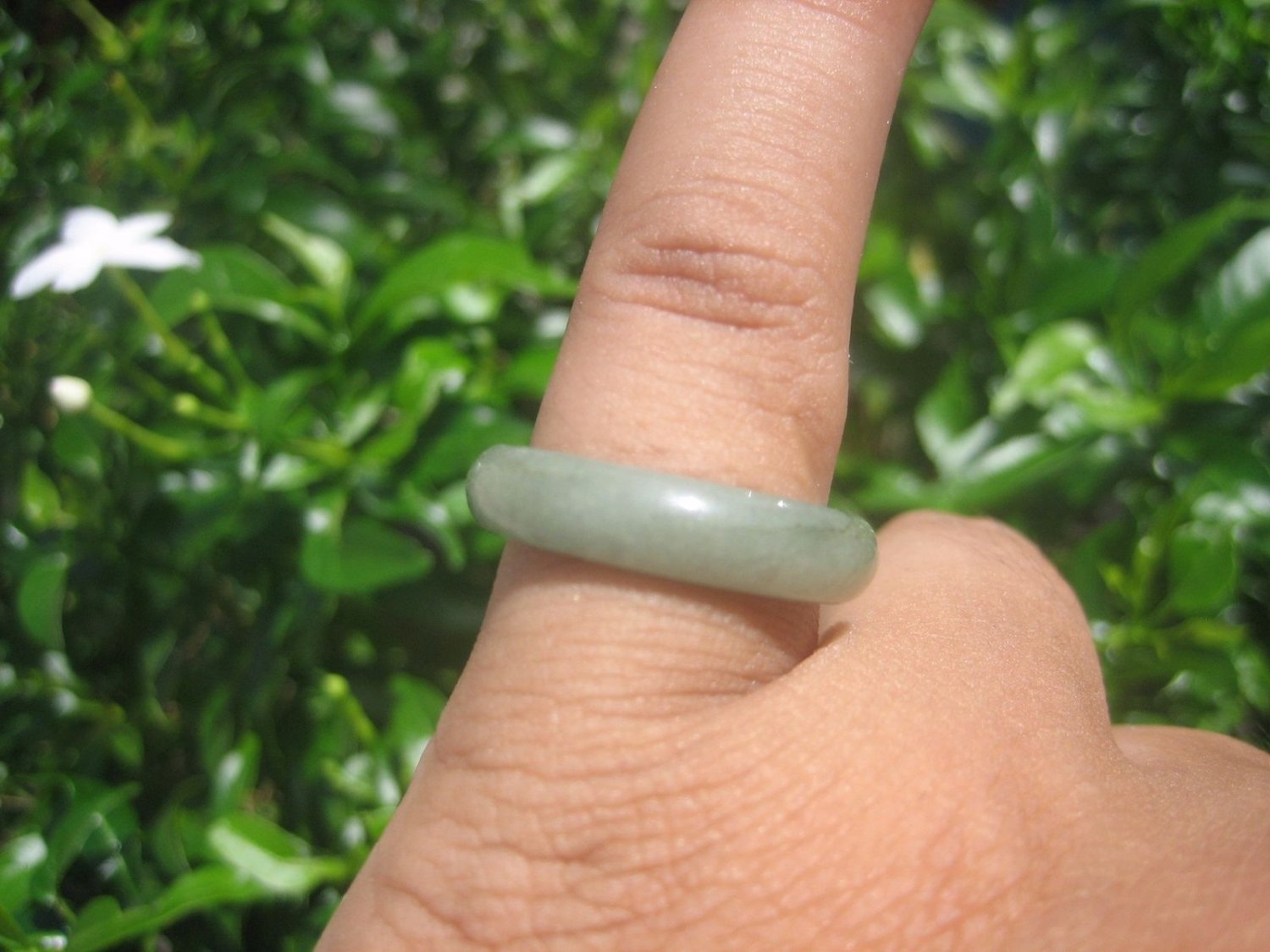 Natural Jadeite Jade ring Thailand jewelry stone mineral size 7 US EB 021