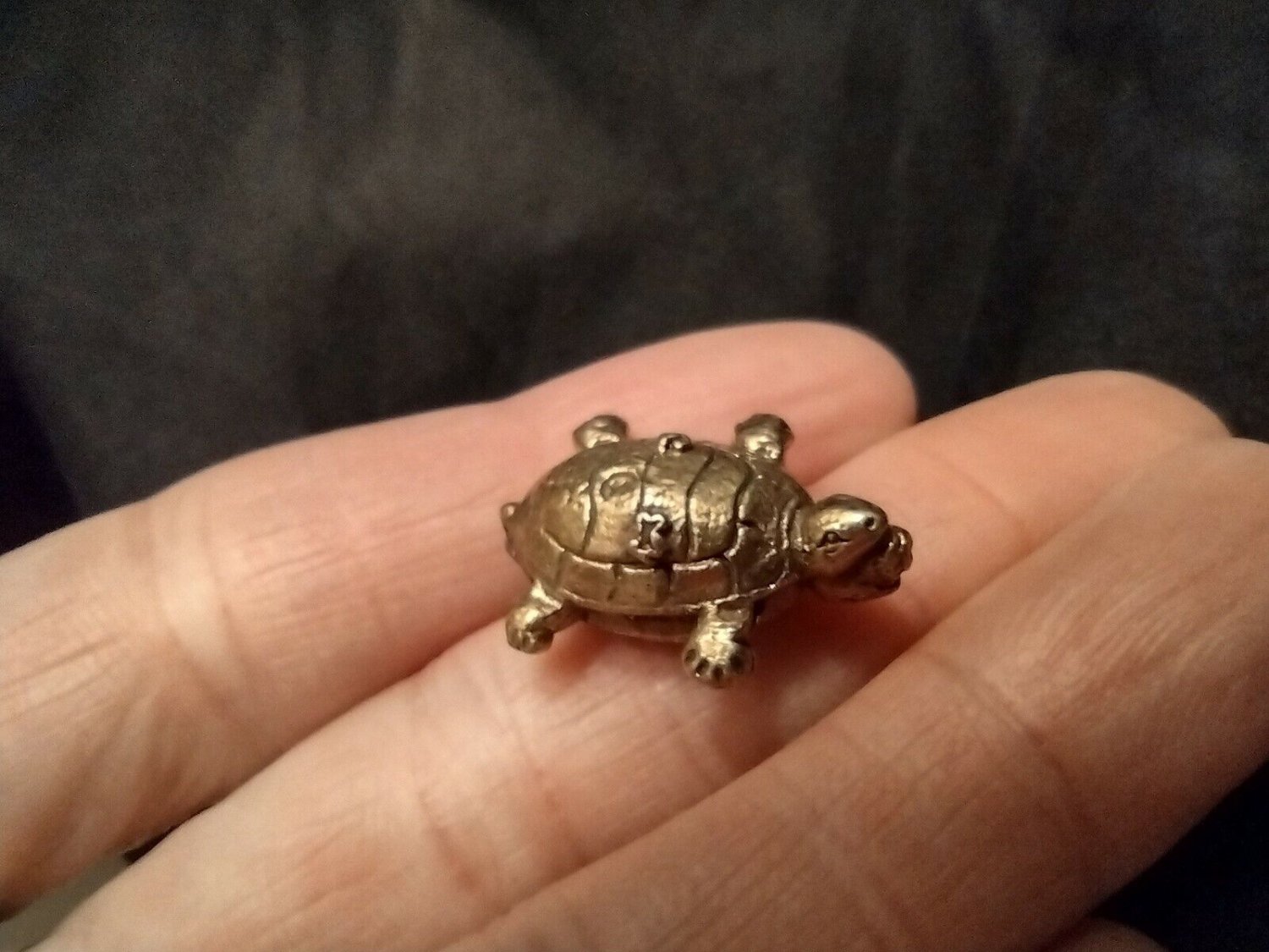 Statue Turtle Amulet Buddhist Blessing Bangkok Thailand Th336