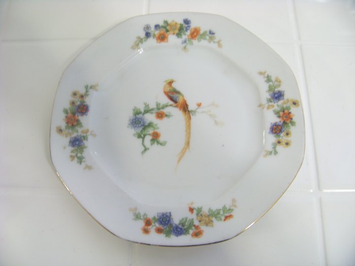 golden pheasant pattern bone china saucer by Altrohlau