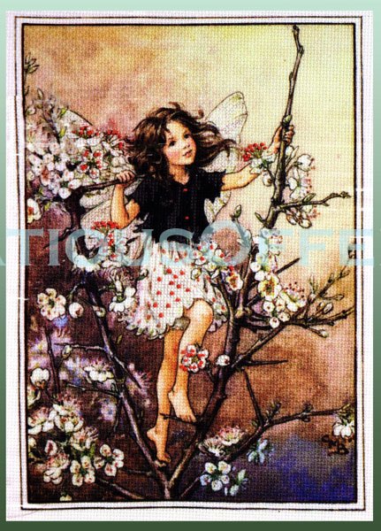 RARE CECILY MARY BARKER FLOWER FAIRIES EMBELLISHED CROSS STITCH KIT ...