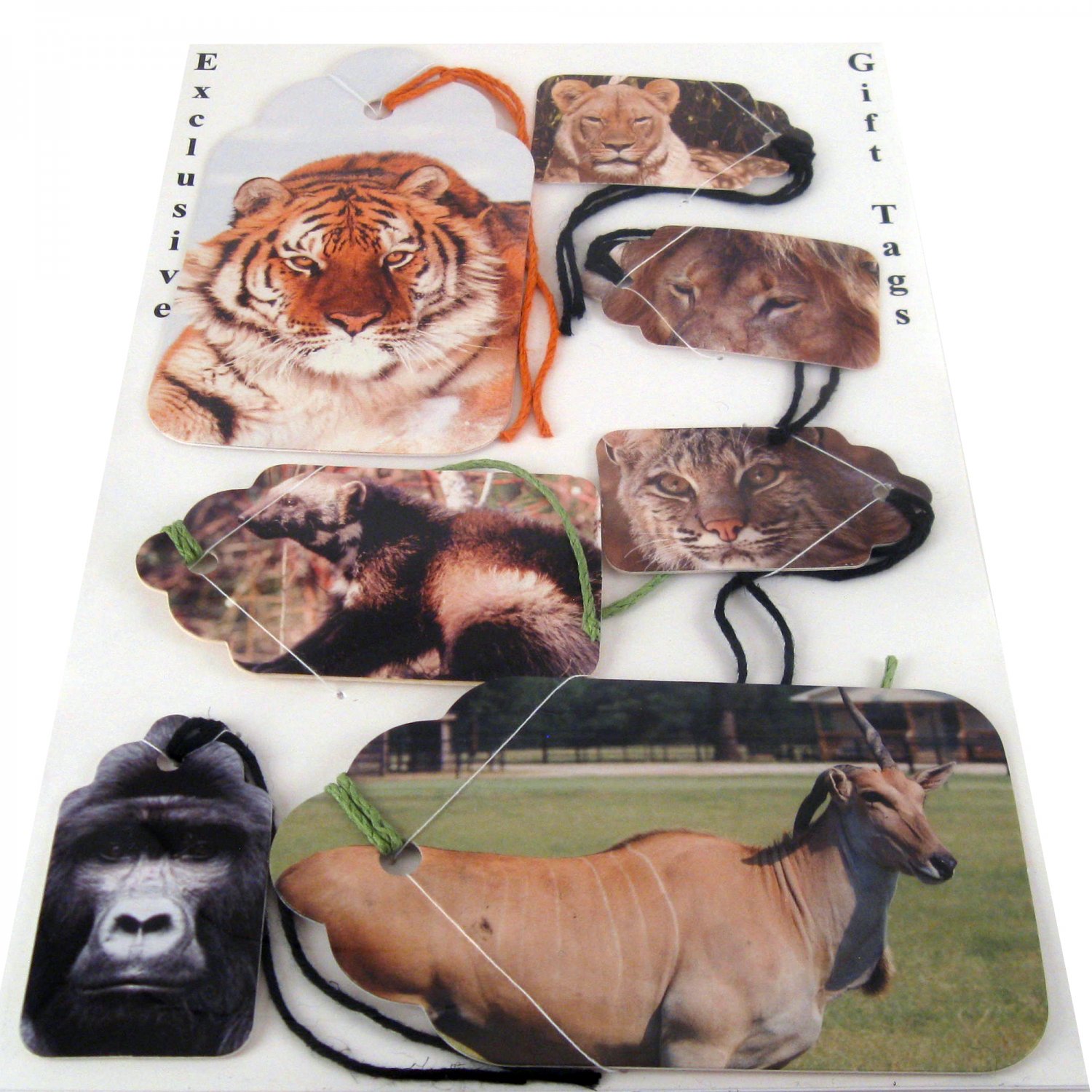 Wild Animal Gift Tag Set