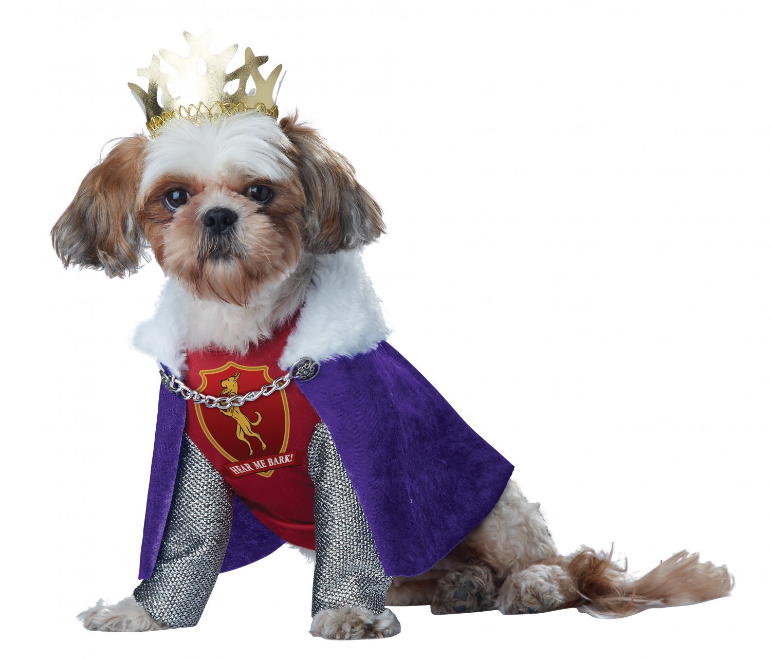 Size: Large #20138 Renaissance King of Bones Pet Dog Costume