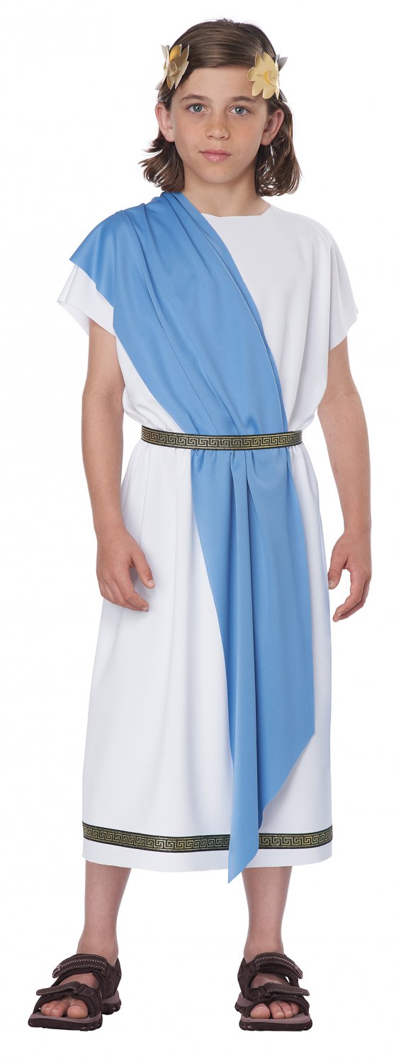 Size: X-Large #00622 Basic Toga Julius Caesar Roman Empire Greek 300 ...
