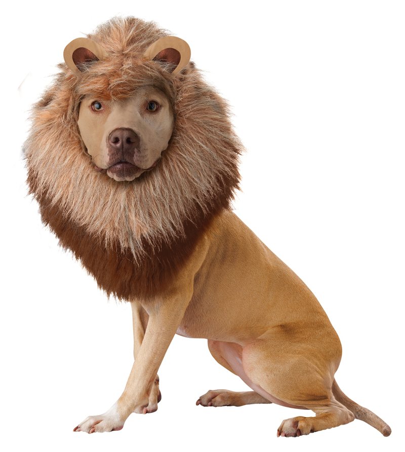 Size: Small #20123 Simba Lion King Safari Pet Dog Costume