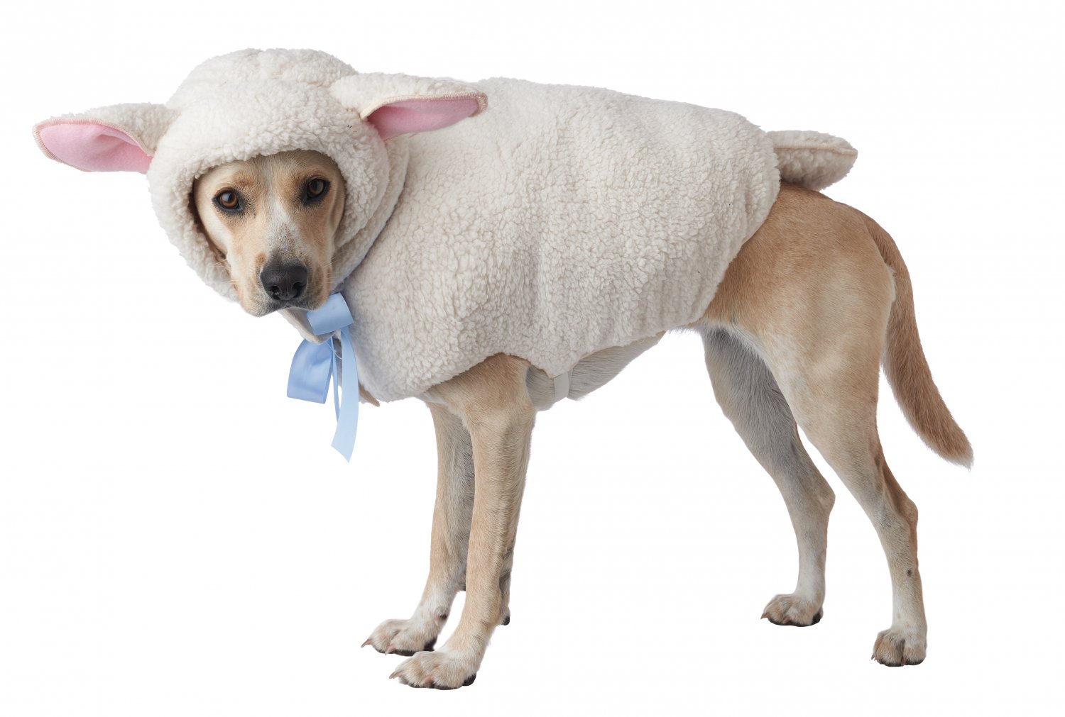 4223-116 Farm Animal Sheep Dog Pet Costume