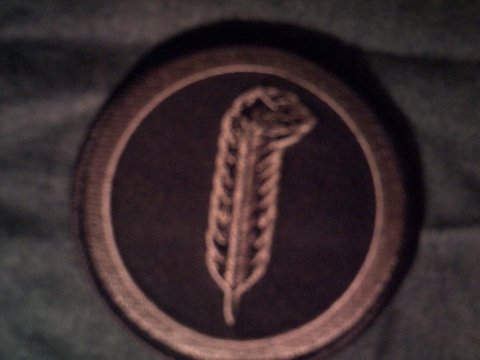 LED ZEPPELIN iron-on PATCH Robert Plant feather zoso logo