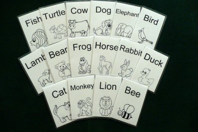 PHOTO FLASH CARDS 26 PERSONALIZED w/YOUR Photos & Text + MORE 4x6 ...