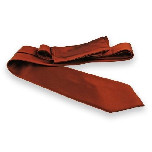 Rust Solid Color Necktie and Pocket Square Set