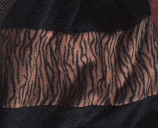 tiger print chest