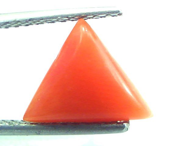 2.49 Carat Natural Italian Triangle Red Coral Moonga Gemstone
