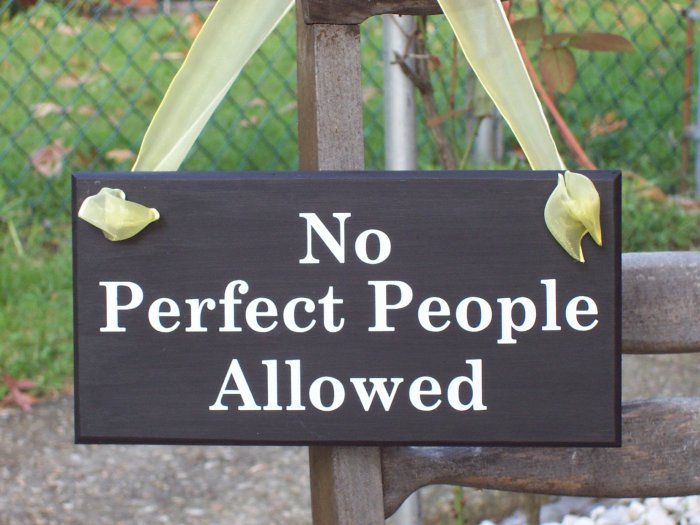 No Perfect People Allowed Vinyl Wood Sign