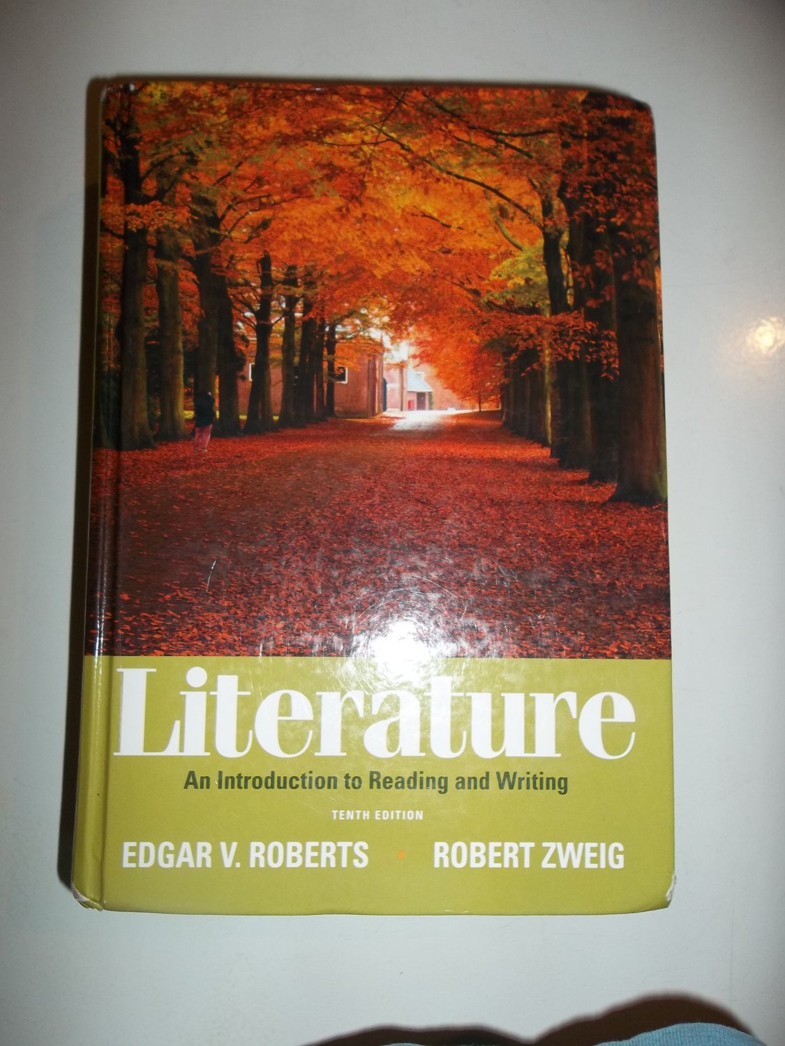 Literature : An Introduction to Reading and Writing by Robert Zweig and ...