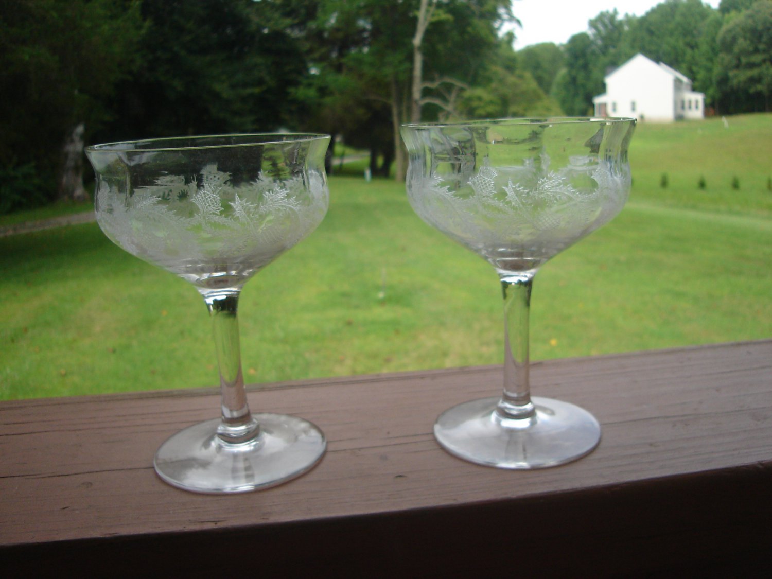 Central Glass Works Champagne / Tall Sherbet Thistle Pattern