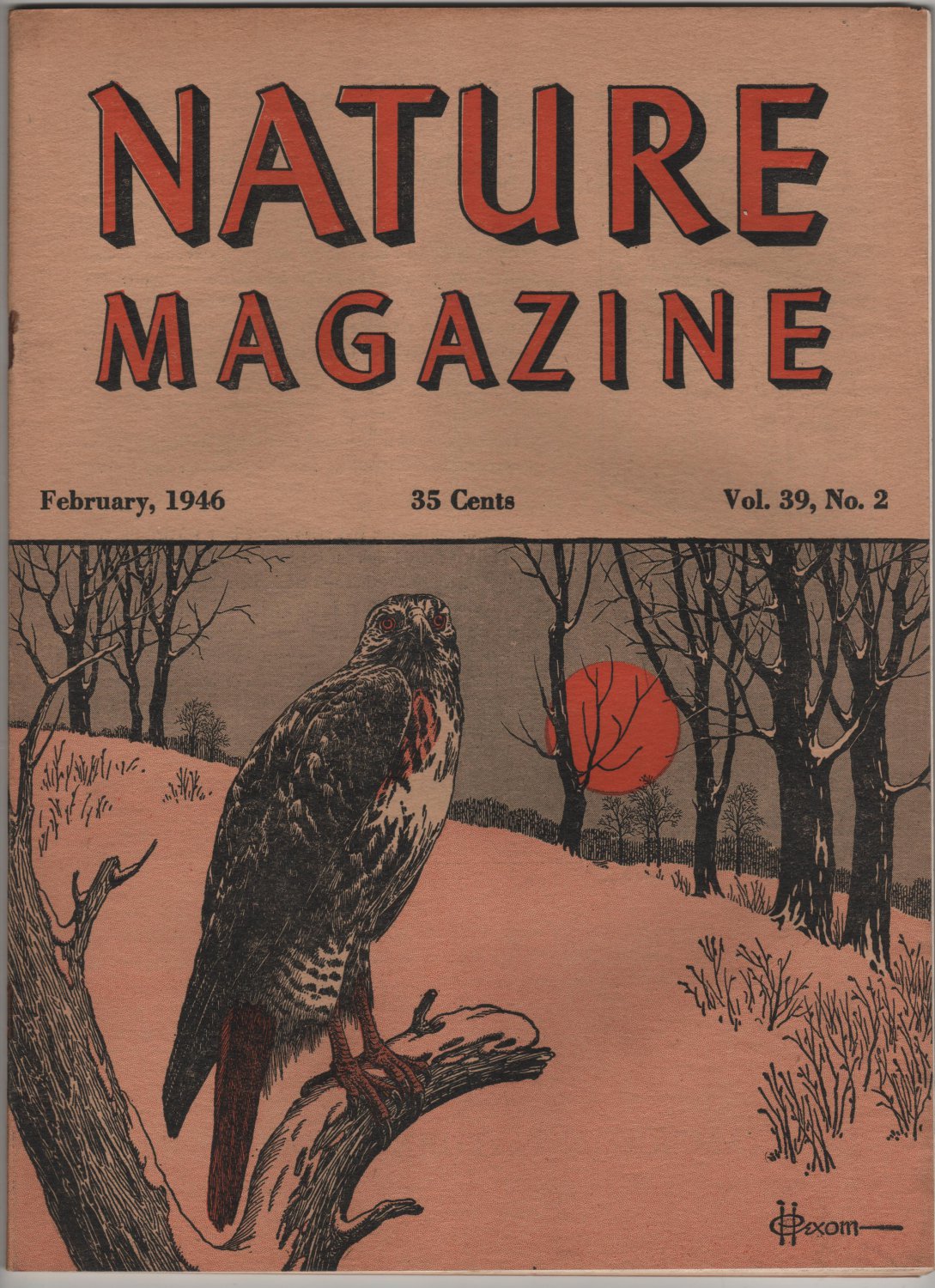 Nature Magazine, Red-Tailed Hawk, Orange Hexom Cover c.1946