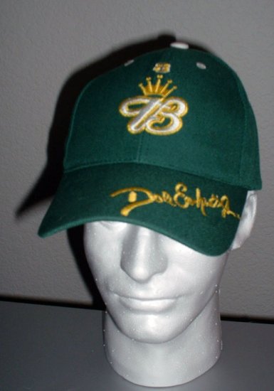 DALE EARNHARDT JR. #8 BUDWEISER BALL CAP NEW