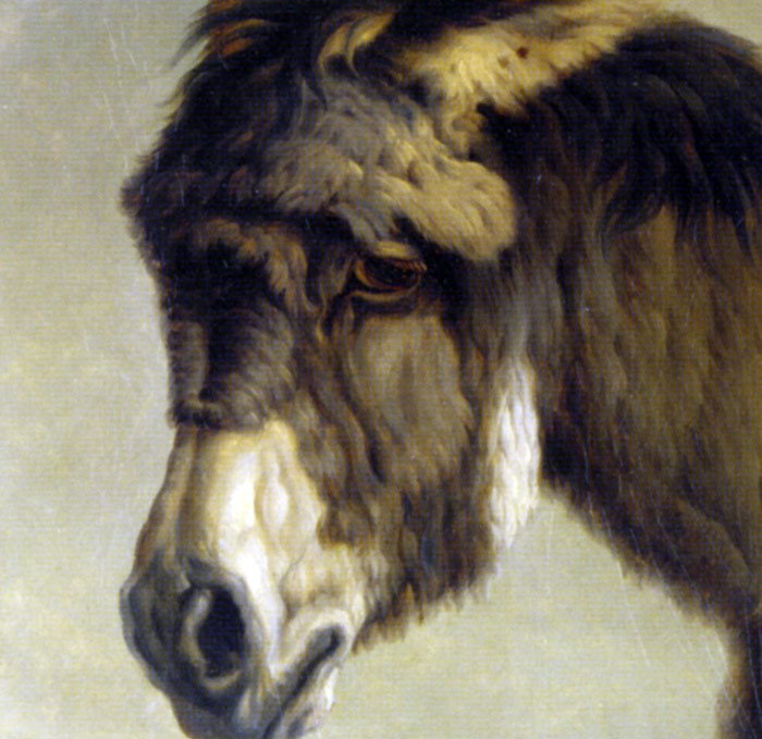 Head of a Donkey horse family animal canvas art print by Rosa Bonheur