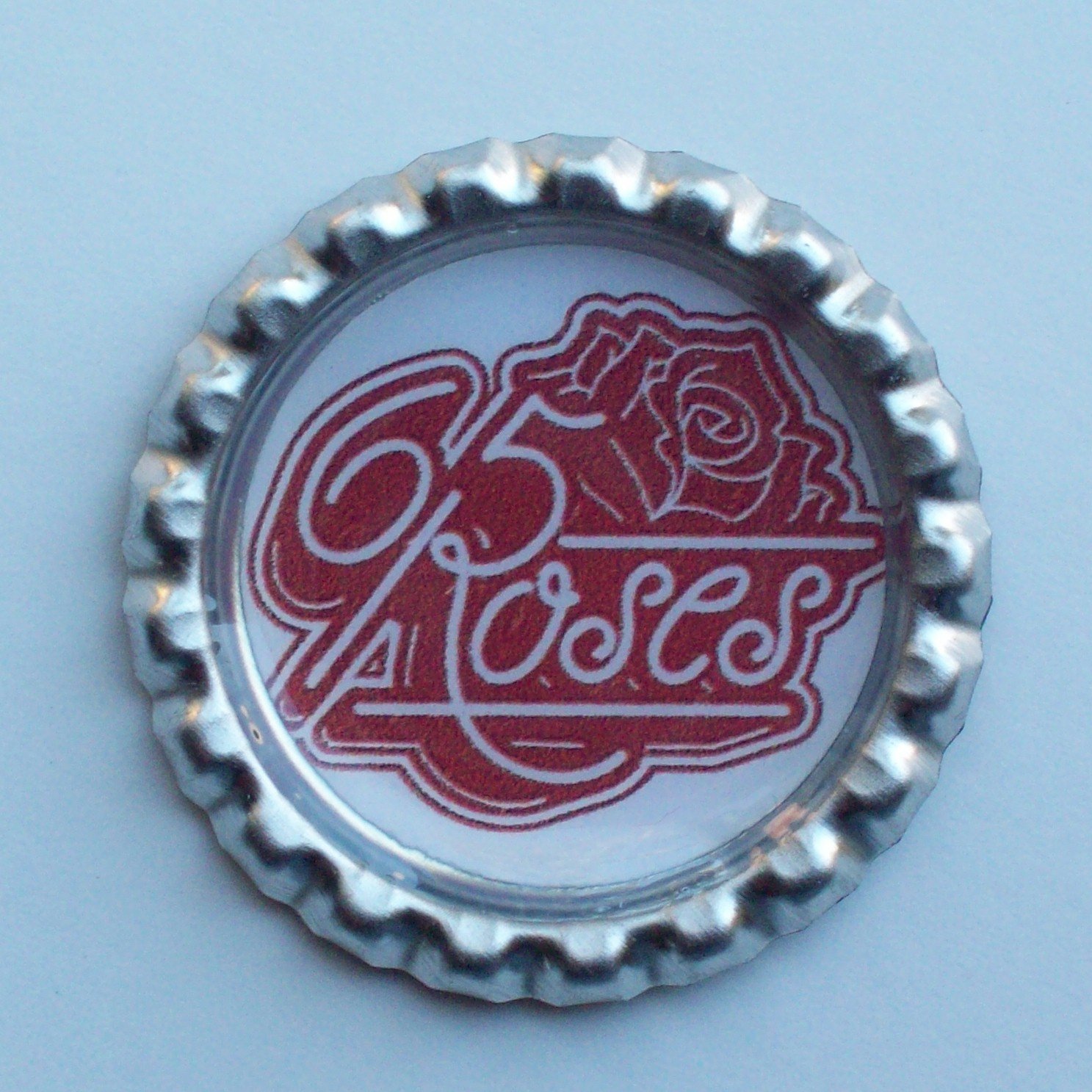 65 ROSES Keychain - CYSTIC FIBROSIS AWARENESS