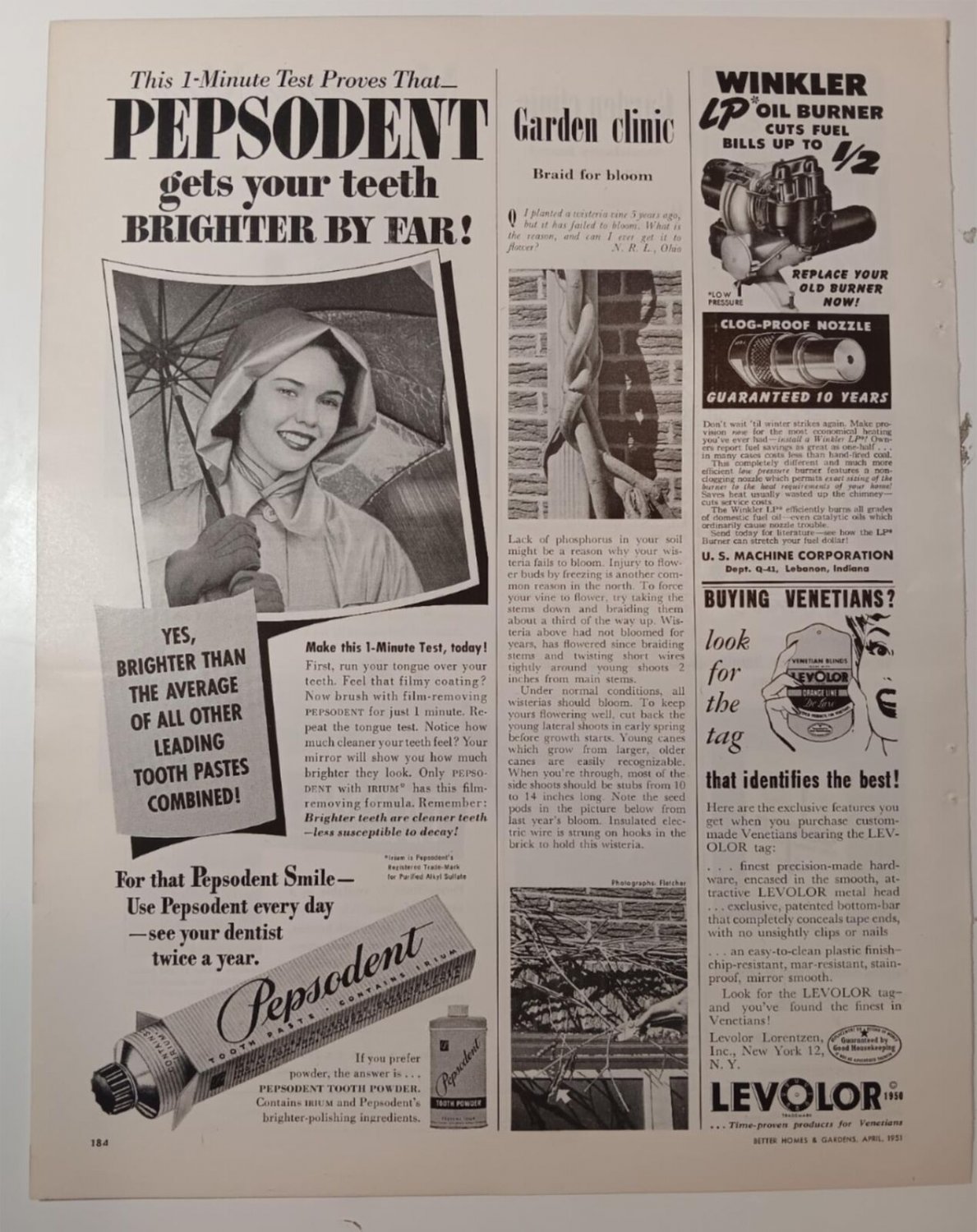 1951 Vintage Pepsodent Toothpaste 1/2 Page Ad Better Homes & Garden ...