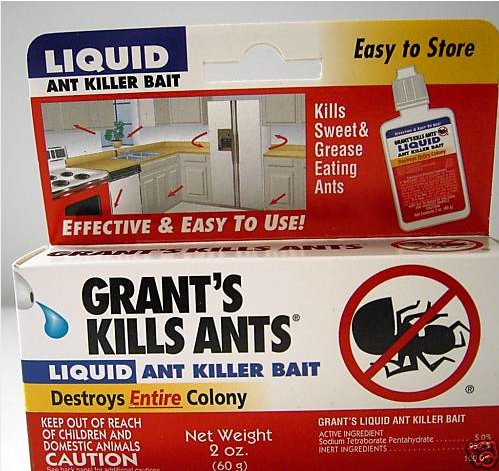 Grease Ant Bait / Killer / Trap / Removal - Destroys Entire Colony