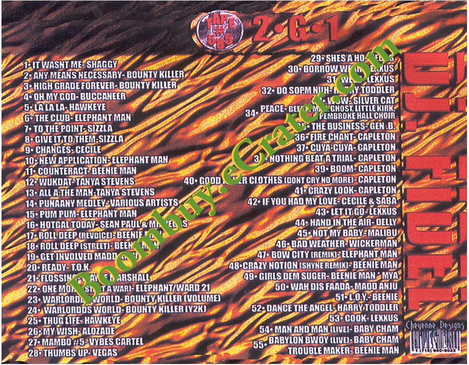 Dj Fidel: Reggae Gold 2000-2001 #585