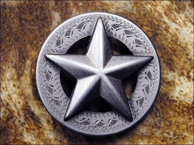 CN105F- 1 EMBOSSED TEXAS STAR CONCHO SADDLE HEADSTALL TACK BLING COWGIRL