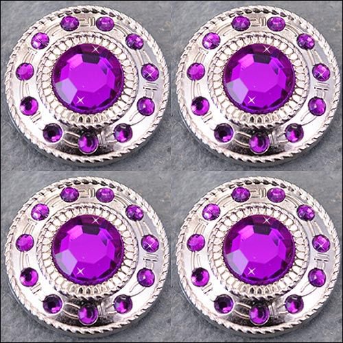 CN077F- 2 PURPLE CRYSTAL RHINESTONE WHEEL CONCHOS BLING HEADSTALL TACK ...