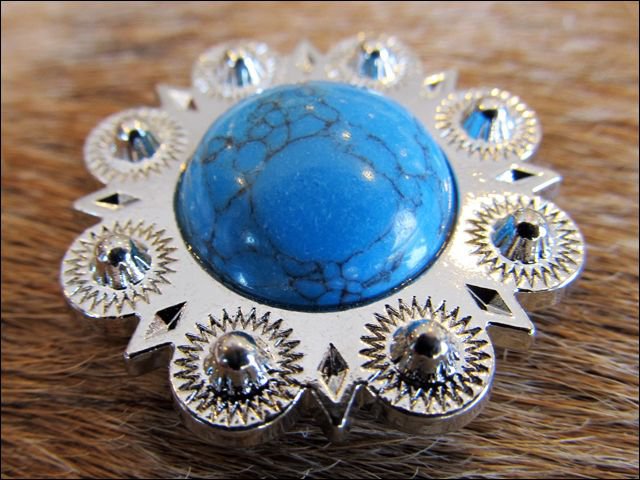 CN046F- 8 TURQUOISE STONE ROUND CONCHOS BLING HEADSTALL TACK RODEO COWGIRL