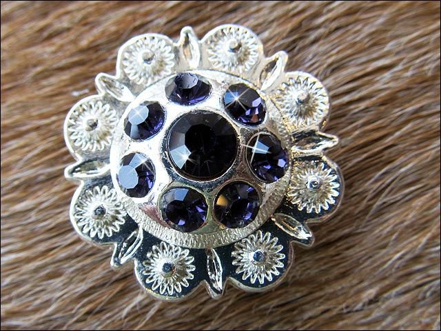 CN011F- 16 PURPLE RHINESTONE BERRY CONCHOS CRYSTALS HEADSTALL TACK ...