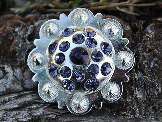 CN015F- 32 PURPLE RHINESTONE BERRY CONCHOS CRYSTALS HEADSTALL TACK COWGIRL