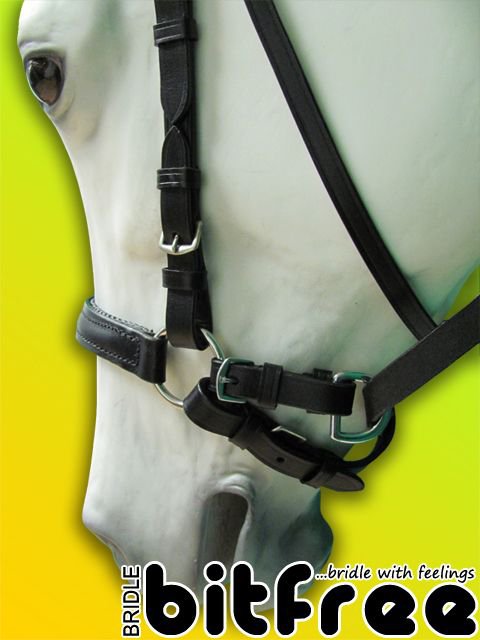 F-2BB30 ENGLISH BITLESS BITFREE BRIDLE EXTREMELY COMFORTABLE DRAFT SIZE