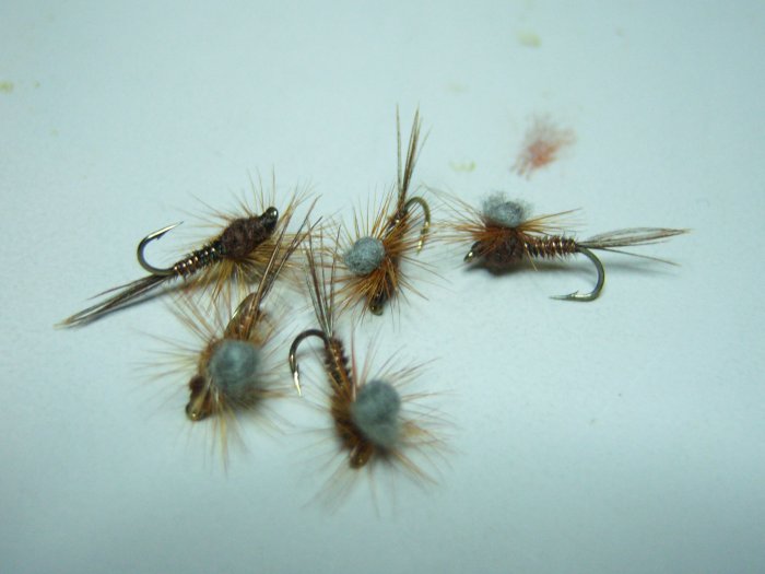 Floating bwo nymph/floating pheasant tail nymph dry fly 1/2 dozen