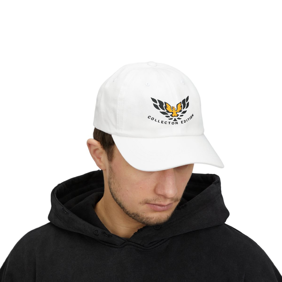 NEW Collectors Edition Pontiac Trans AM Logo embroidered hat