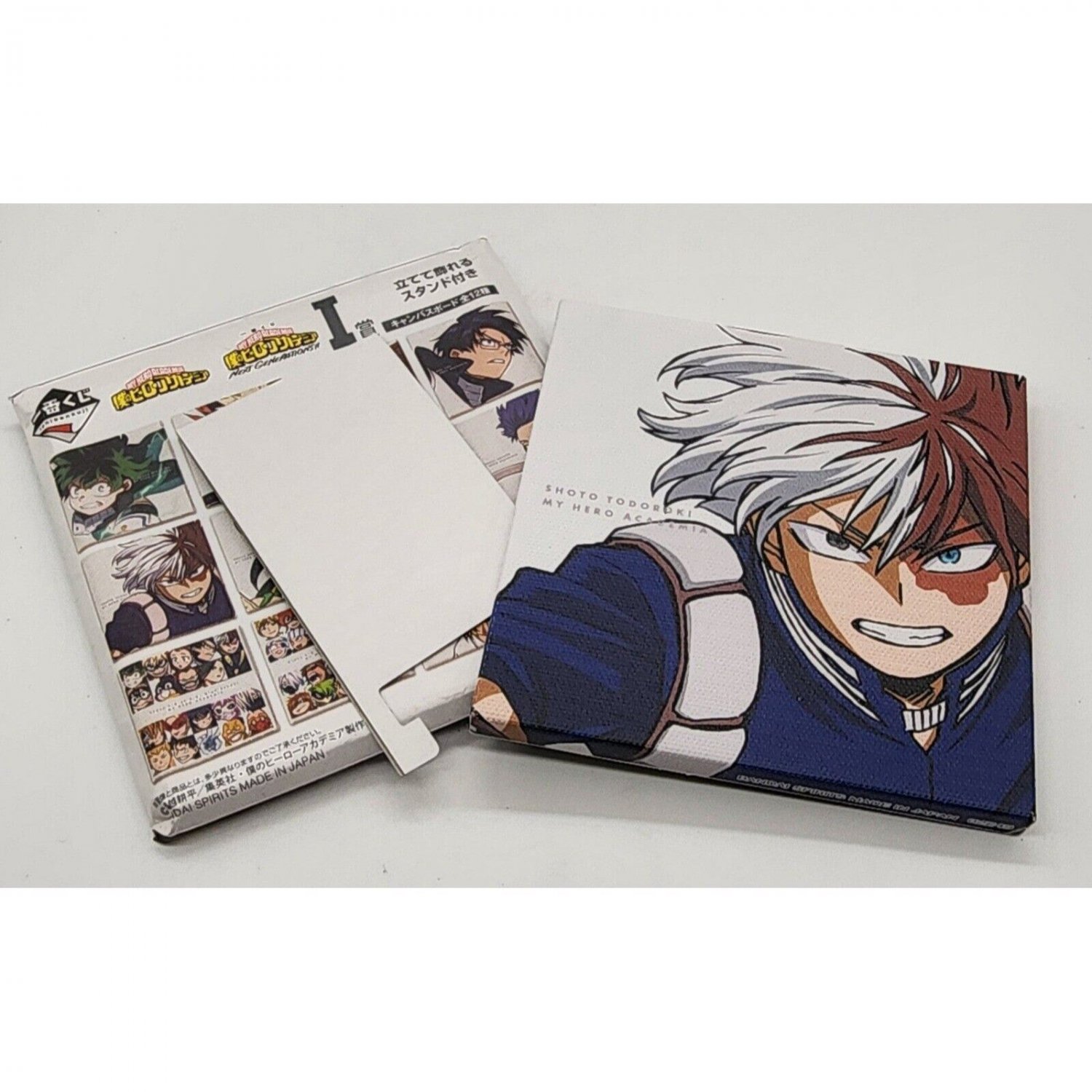 My Hero Academia Shoto Todoroki Canvas