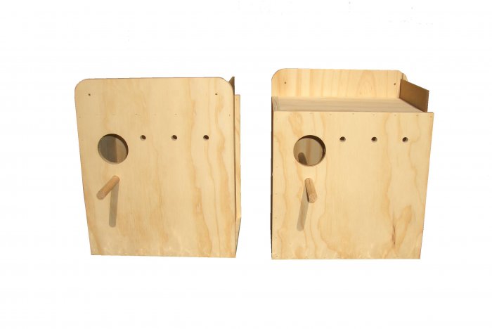 Lineolated Parakeet Nest Box Offset Entry Inside Or Outside Mount