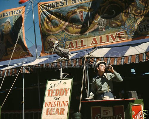 CARNIVAL FAIR VERMONT PHOTO VINTAGE 40S FREAK SHOW SIDE WORLD OF MIRTH ...