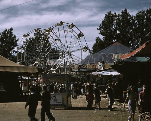 CARNIVAL FERRIS WHEEL CAROUSEL MIDWAY VINTAGE PHOTO 40S